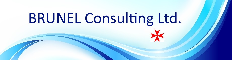 BRUNEL CONSULTING LTD - Services
